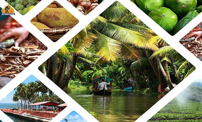 Camping, Trekking, Road Trips & Adventure Sports in India | OutdoorKeeda