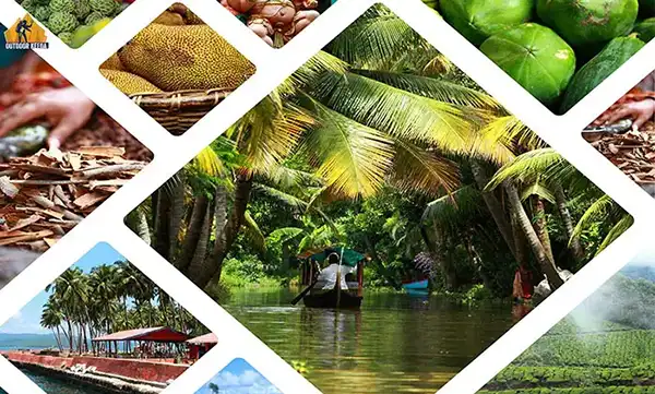 South India Travel Guide | Best Places to Visit in Southern States in ...